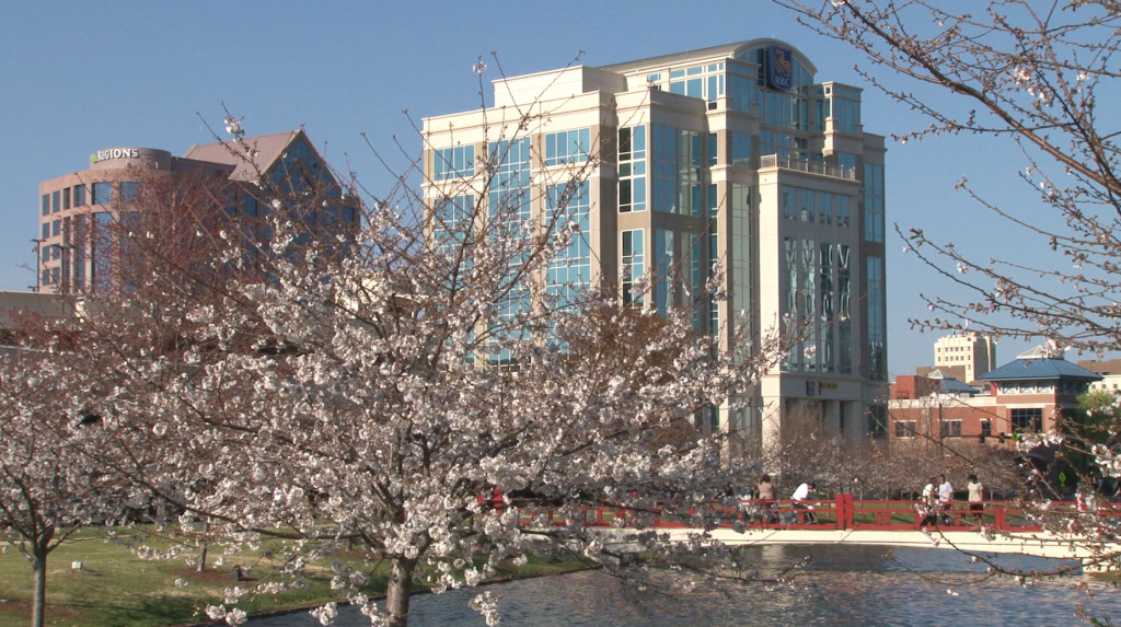 Growing Huntsville Parks and Greenspaces: Our Urban Core - City of ...