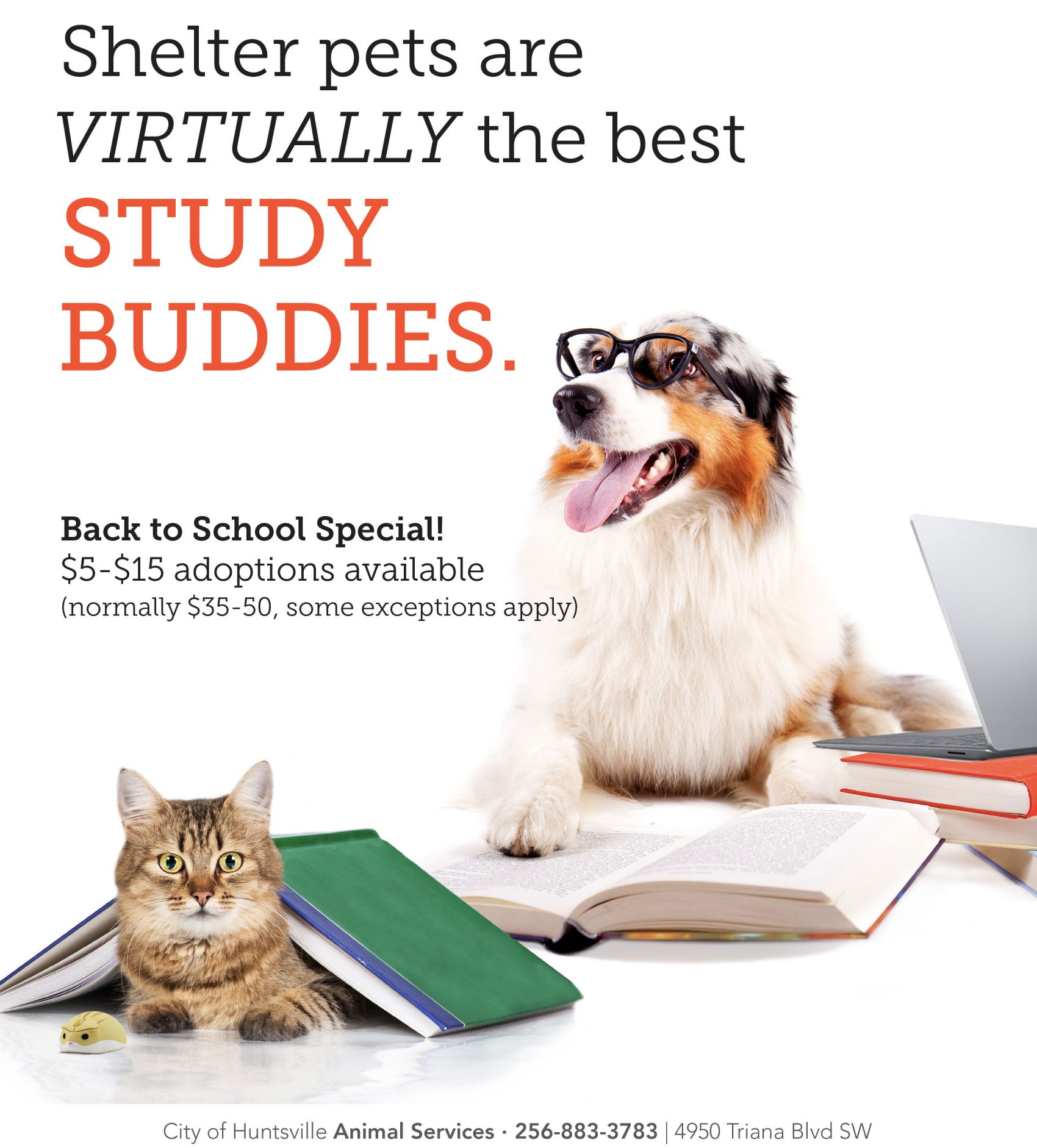 Shelter pets are virtually the best Study Buddies - City of Huntsville