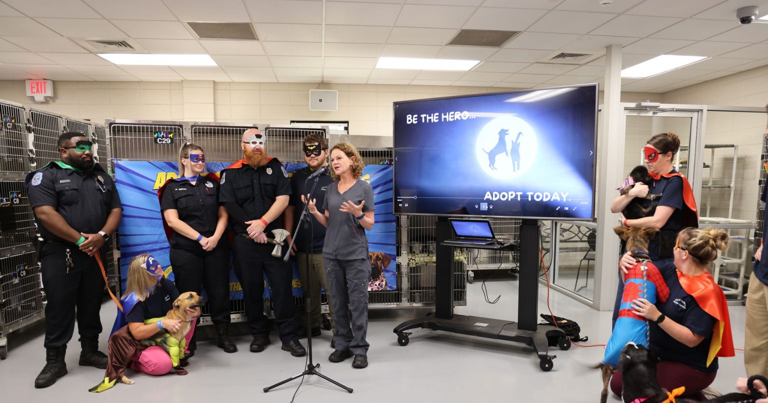 Huntsville Animal Services extends waived adoption fees, announces ...