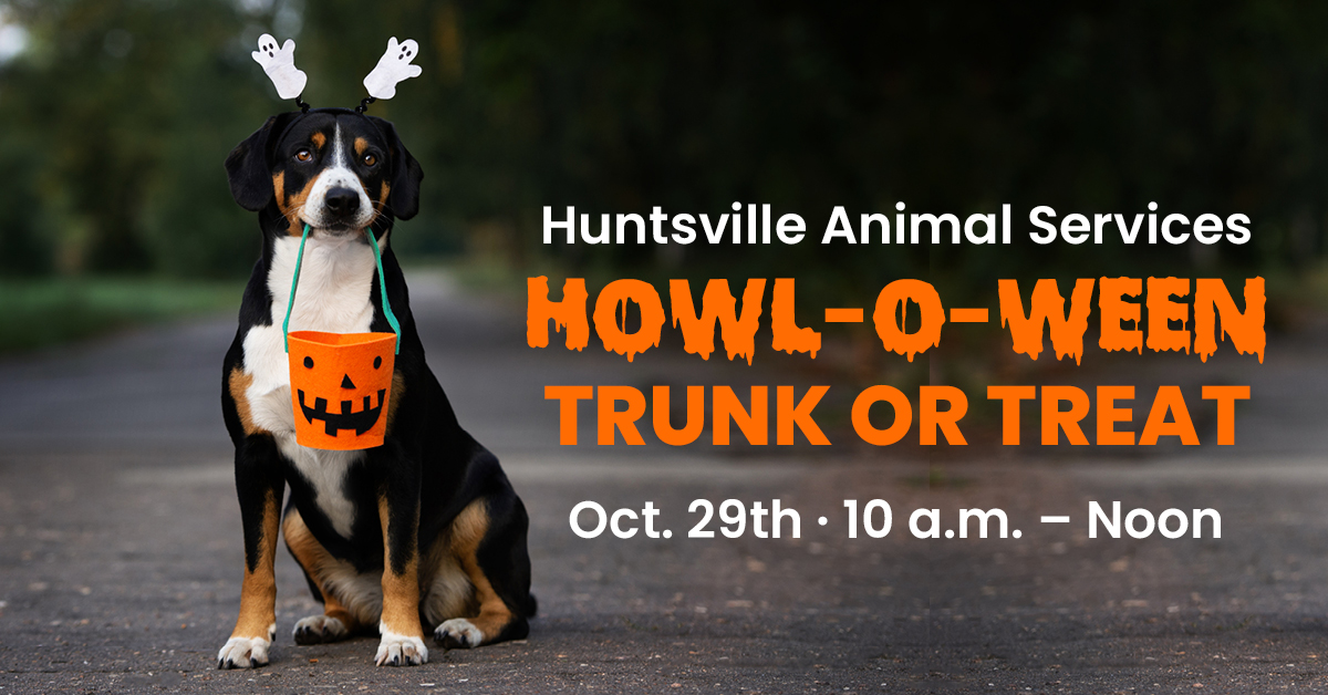 Enjoy a ‘barking’ good time at Huntsville Animal Services’ Howl-o-ween ...