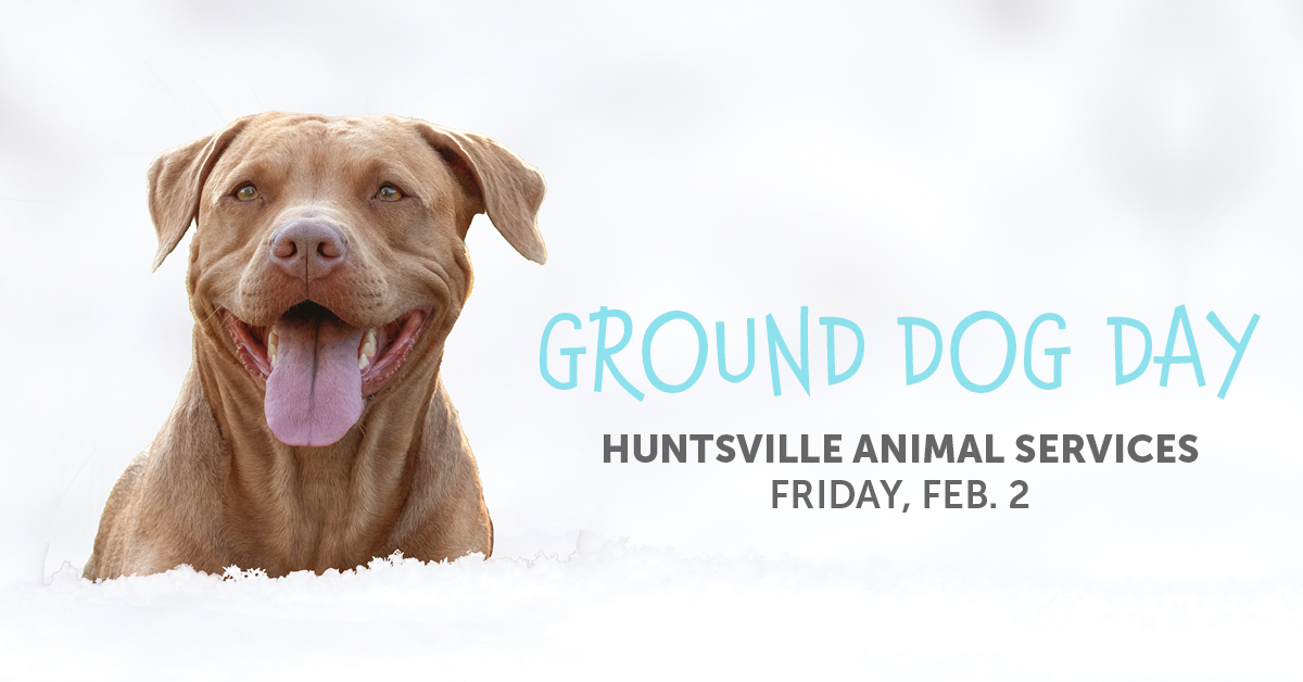 Ground Dog Day 2024 - City of Huntsville
