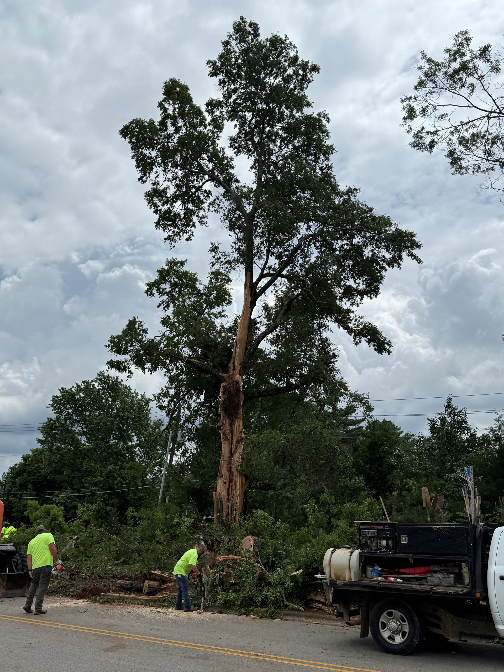 When severe storms strike and trees fall, the City of Huntsville is on ...